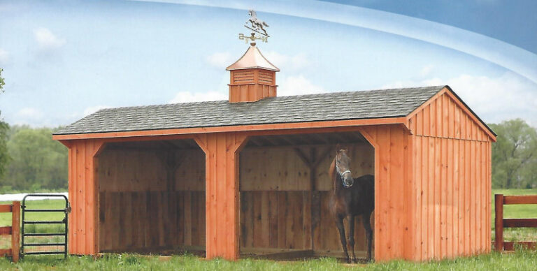 Amish Barn Co 4 Advantages to Having a Run-In Barn for Your Horse